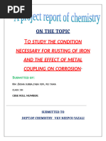 Iron Nail Rusting Experiment Results | PDF | Rust | Iron