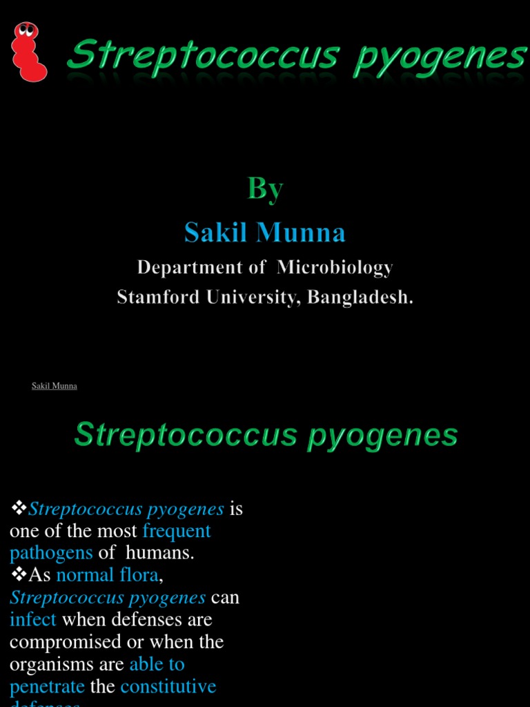 Understanding Streptococcus pyogenes | PDF | Streptococcus | Infection