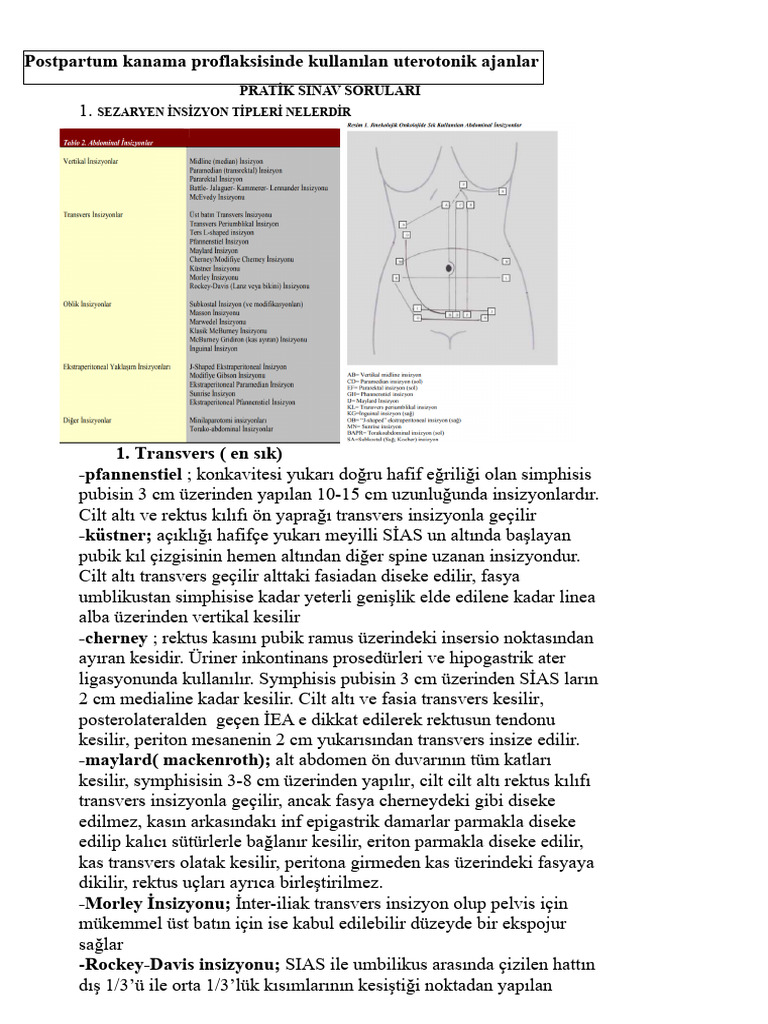 Aç A1 SINAV SORULARI DU_ZENLI_ HALI_ | PDF
