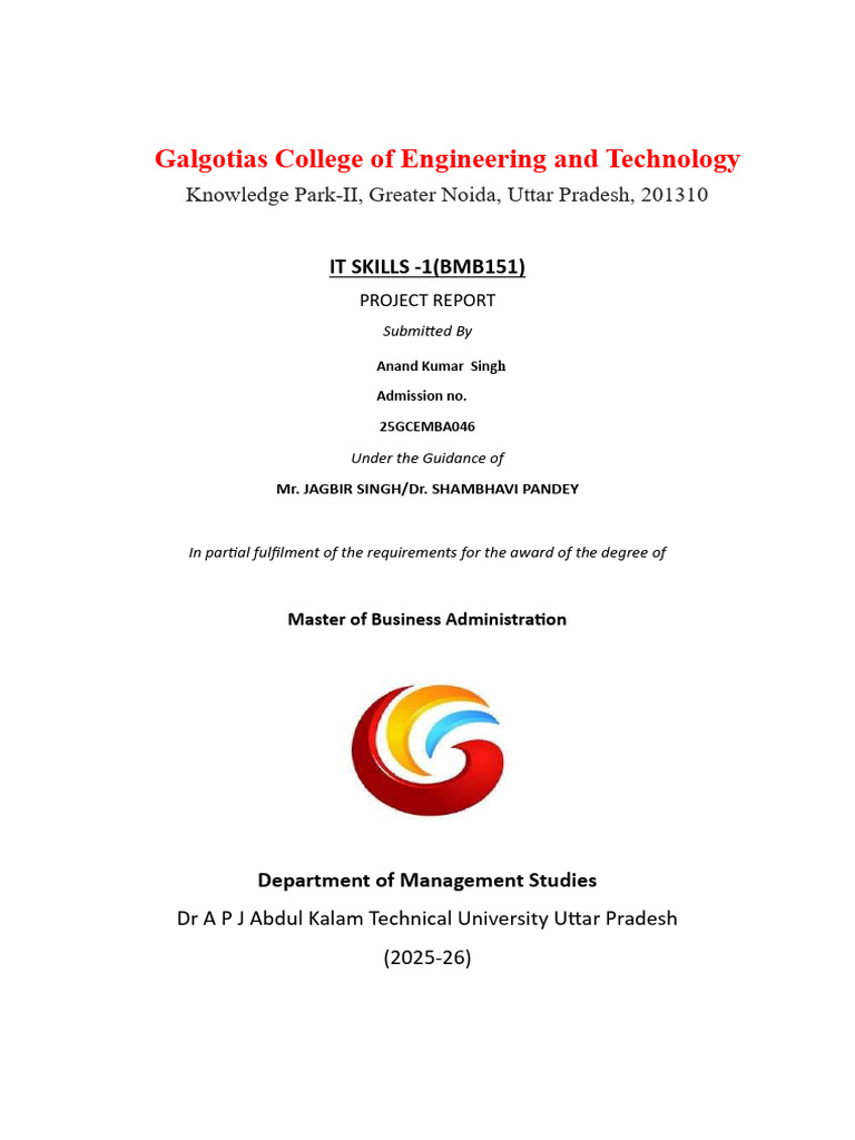 IT Skills Project Report for MBA Students | PDF | Microsoft Excel ...