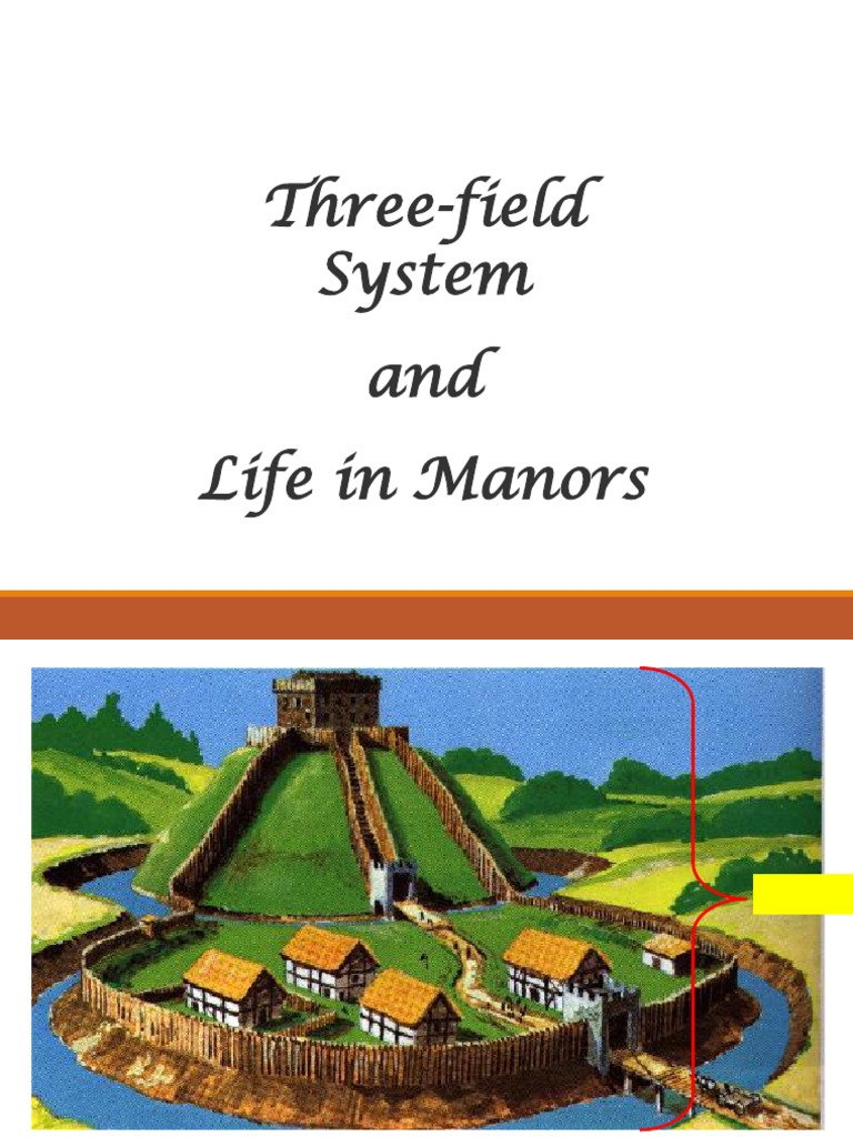 Life and Structure of Medieval Manors | PDF | Crop Rotation | Serfdom