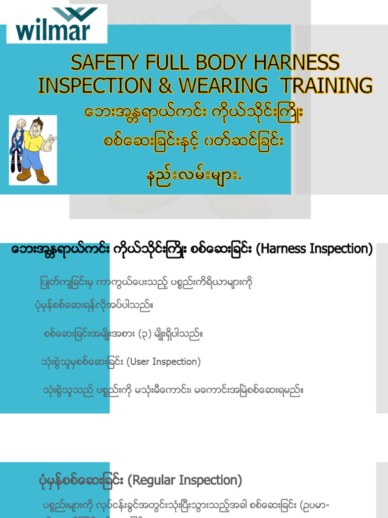 Safety Full Body Harness Inspection Training | PDF