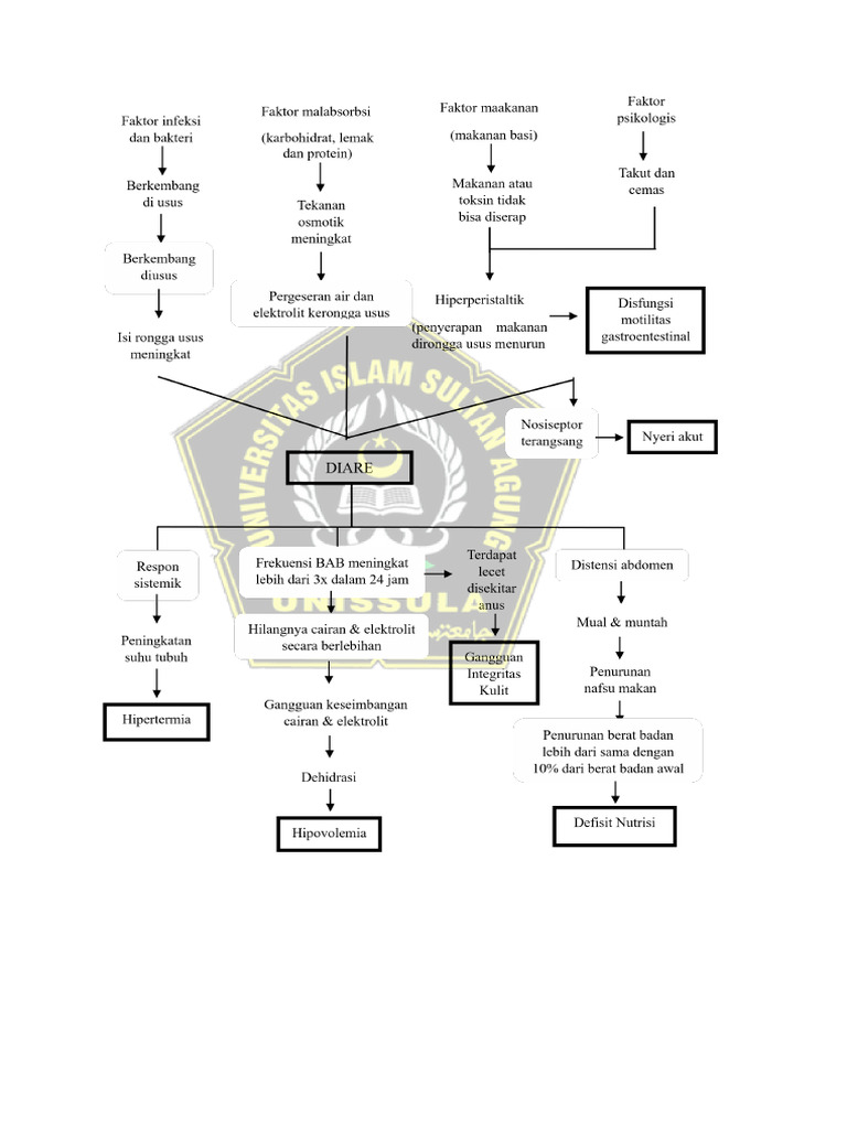Pathway Paint | PDF