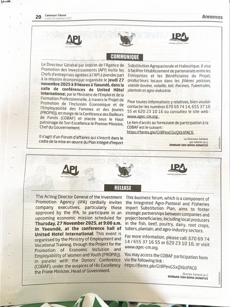 Apl | PDF