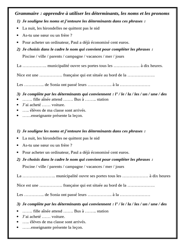 Grammaire : Déterminants, Noms et Pronoms | PDF