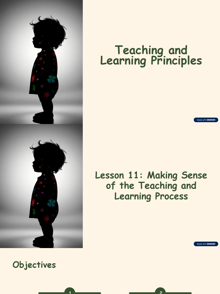 Lesson 11-Teaching and Learning Principles | PDF