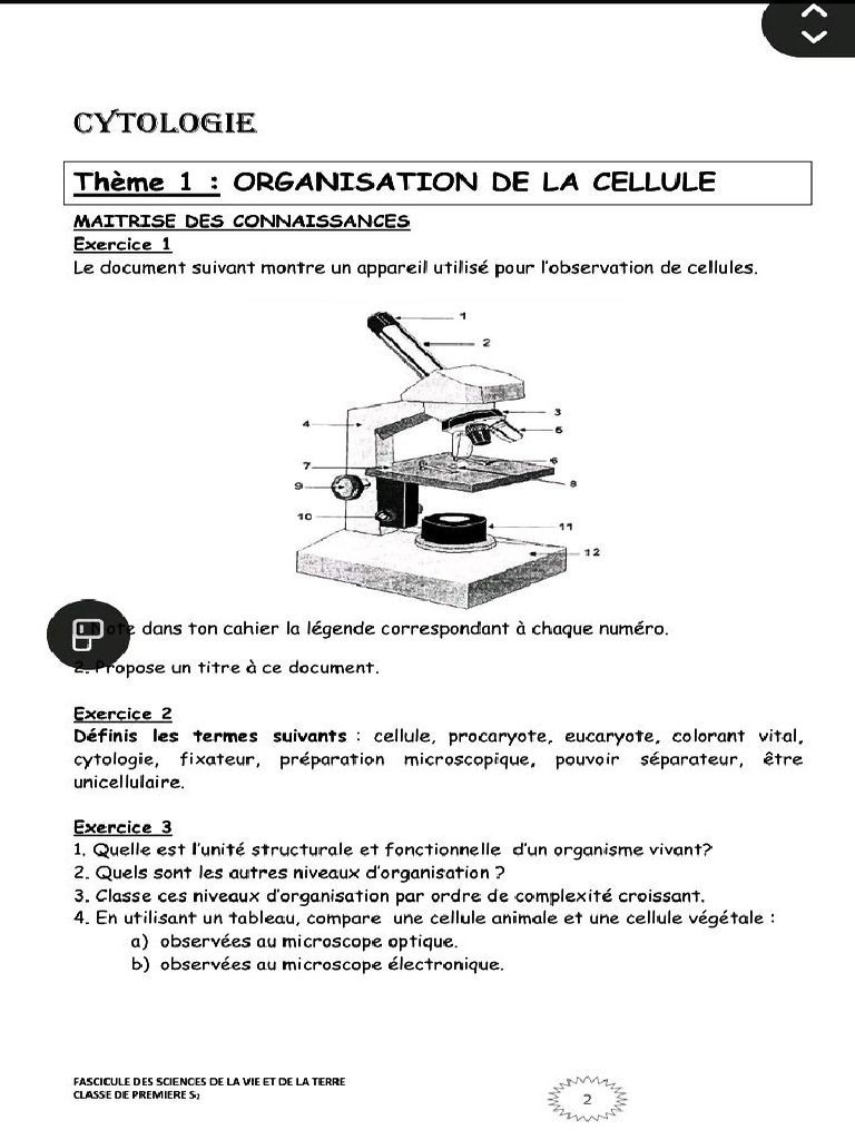 Série D'exercices de SVT Sur Oganisation de La Cellule | PDF