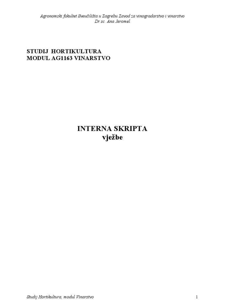 Skripta Vježbe | PDF
