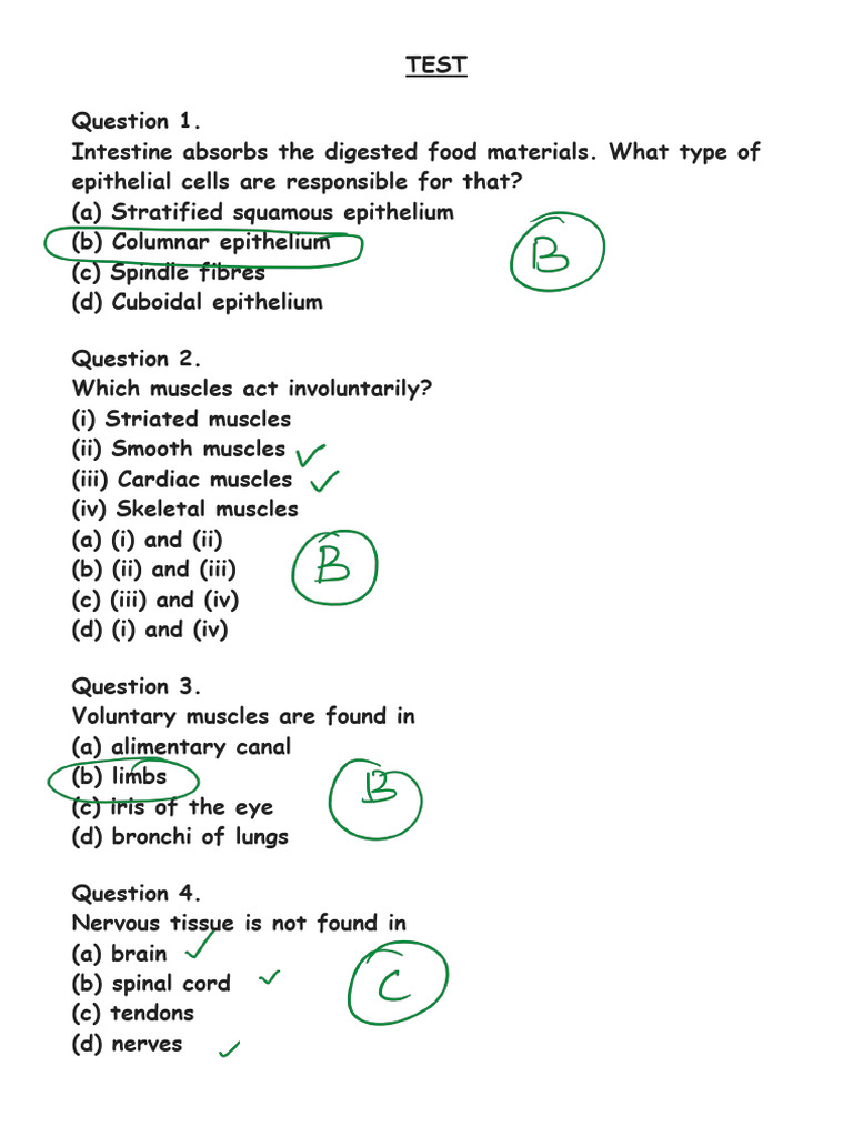 Test - Cell and Tissues - 2024 Final- Answers | PDF | Cell (Biology ...
