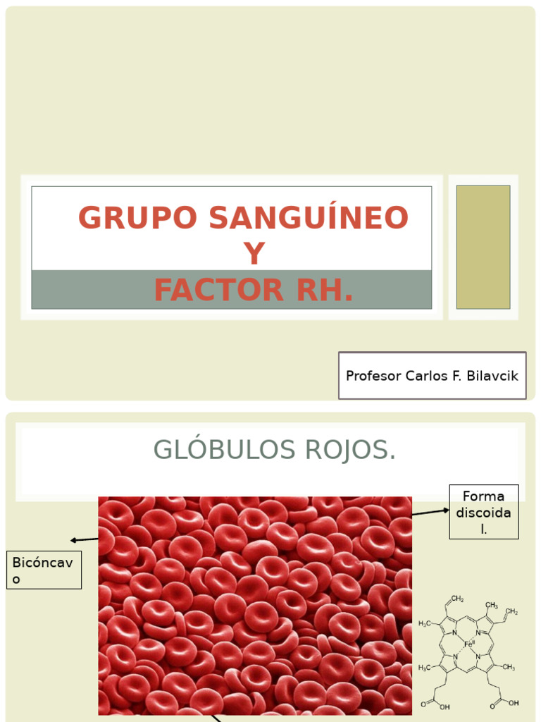 Grupos Sanguíneos Y Factor Rh Guía Completa Pdf Tipo De Sangre