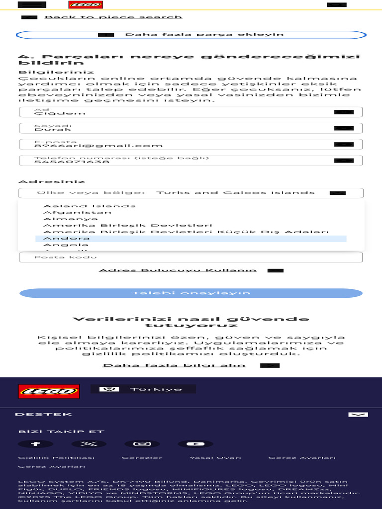 Delivery Details Page | PDF