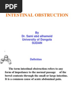 Urology Medical Terminology | PDF | Urinary System | Kidney