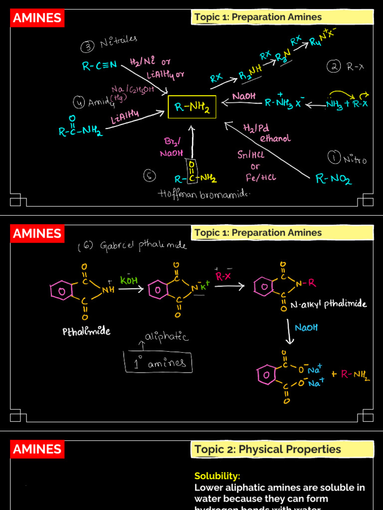 Understanding Amines and Their Properties | PDF