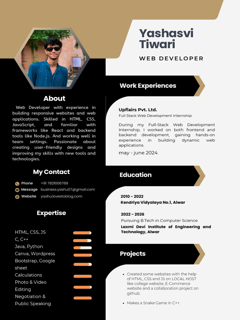 Full-Stack Web Developer Profile | PDF