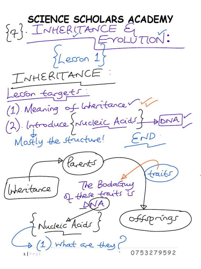 INHERITANCE LESSON 1- NUCLEIC ACIDS PART 1- SSA? | PDF