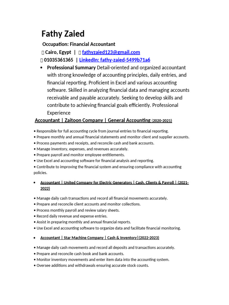 Fathy Zaied Professional CV | PDF | Accounting | Inventory