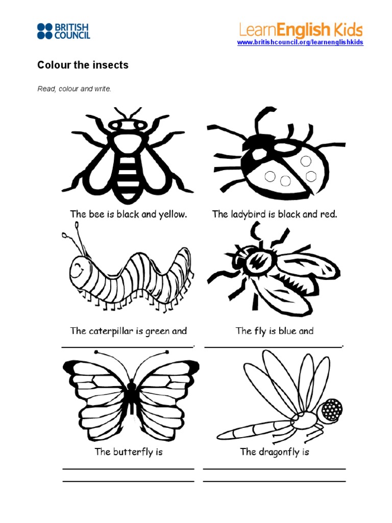 Kids' Insect Coloring Activity | PDF