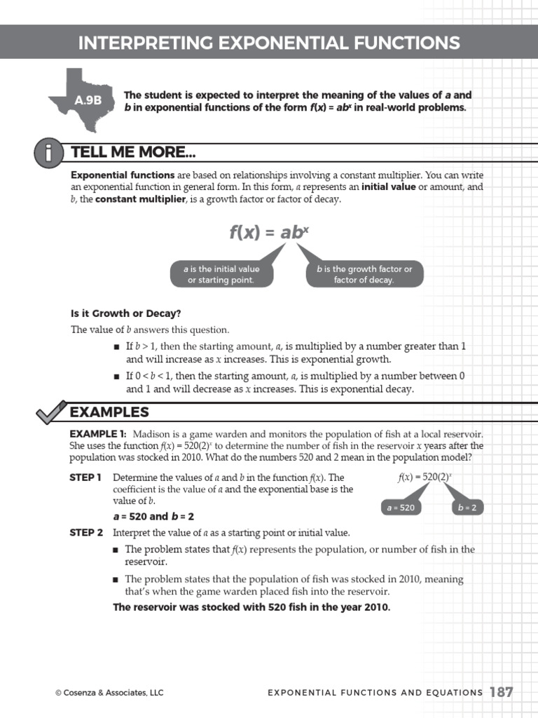 Understanding Exponential Functions | PDF