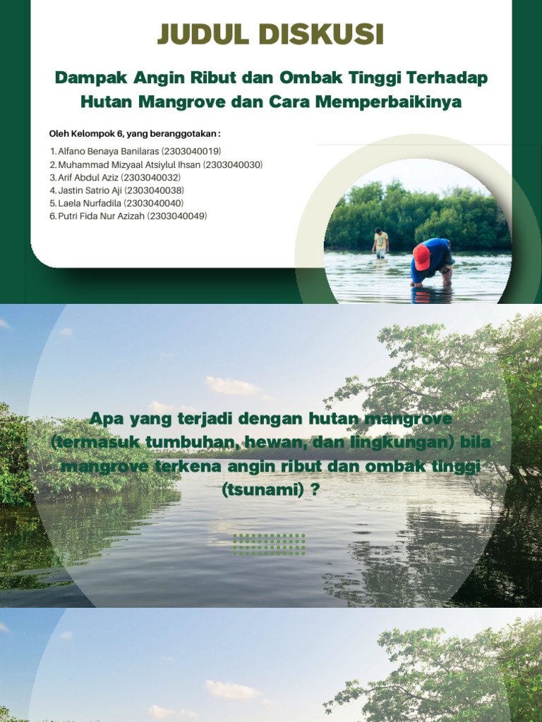 Kelompok 6_Angin Ribut Dan Ombak Di Mangrove_compressed (1) | PDF