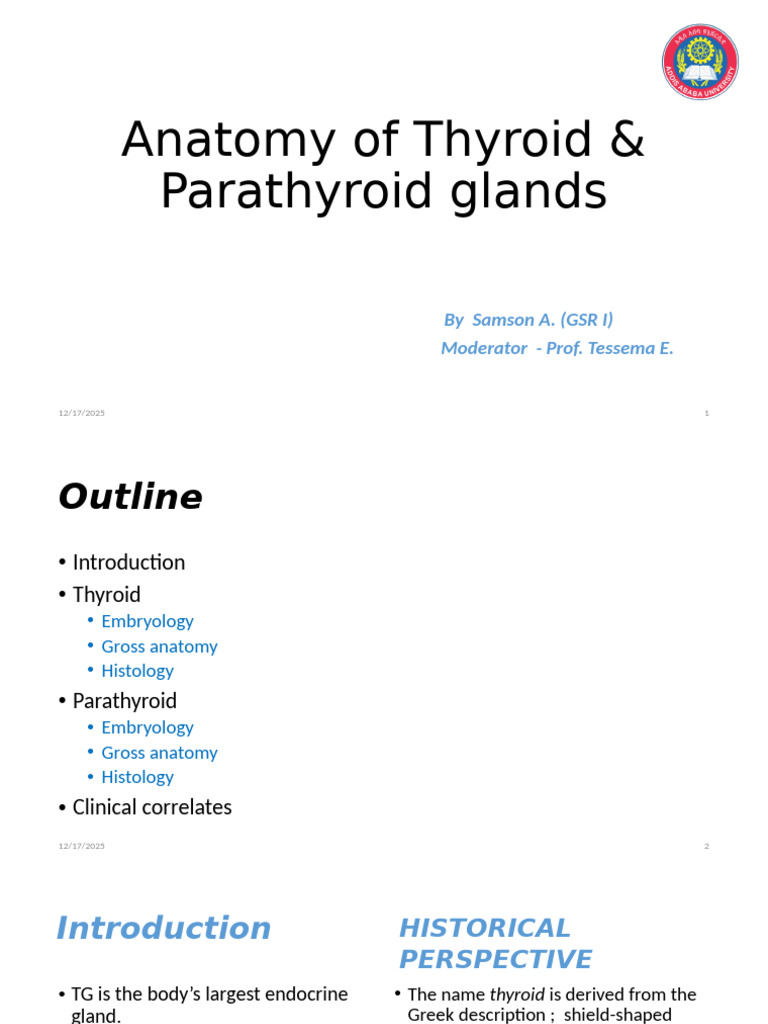 Thyroid & Parathyroid Anatomy Overview | PDF | Thyroid | Neck