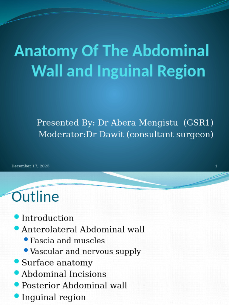 Anatomy of The Abdomen Wall and Inguinal Region | PDF | Abdomen ...