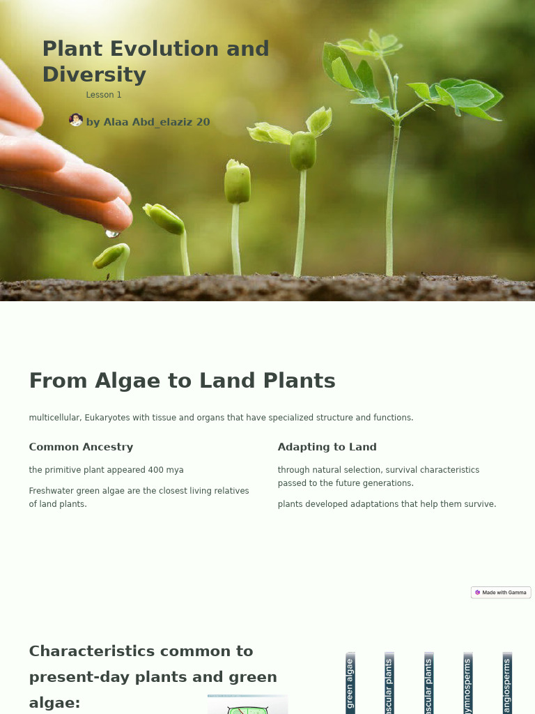 Less1 Plant Evolution and Diversity (1) | PDF | Seed | Plants
