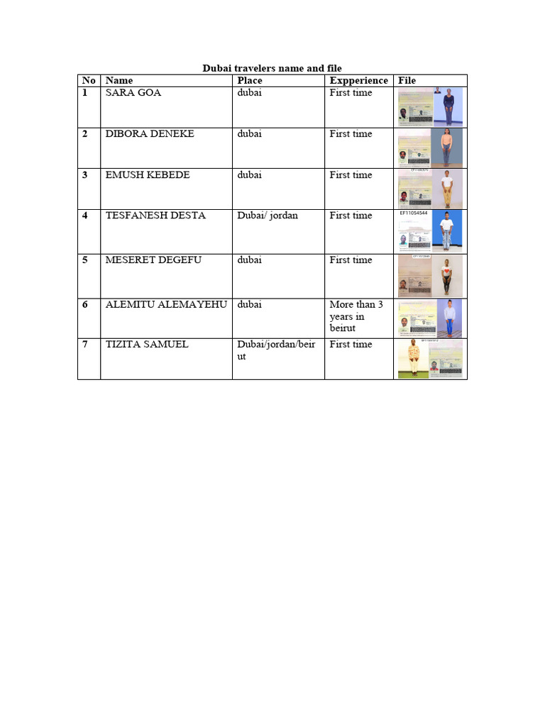 Dubai Travel Experiences Summary | PDF