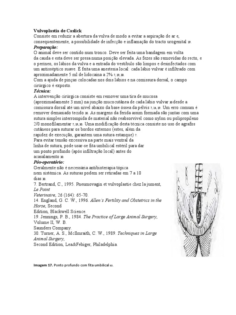 Vulvoplastia de Caslick em Éguas | PDF | Casa e Jardim | Ciências e ...