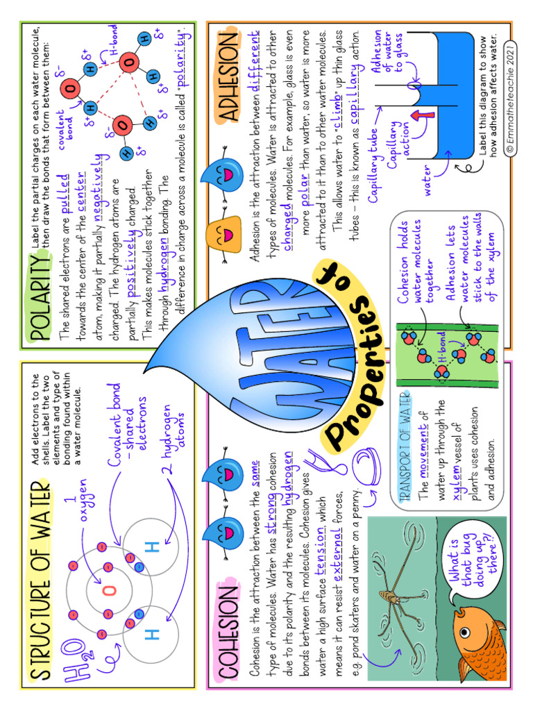 Properties of Water Doodle Notes Page 1 | PDF