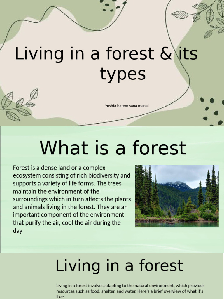 Living in Different Types of Forests | PDF