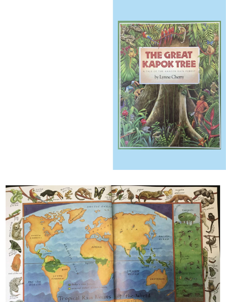 Text - The Great Kapok Tree | PDF