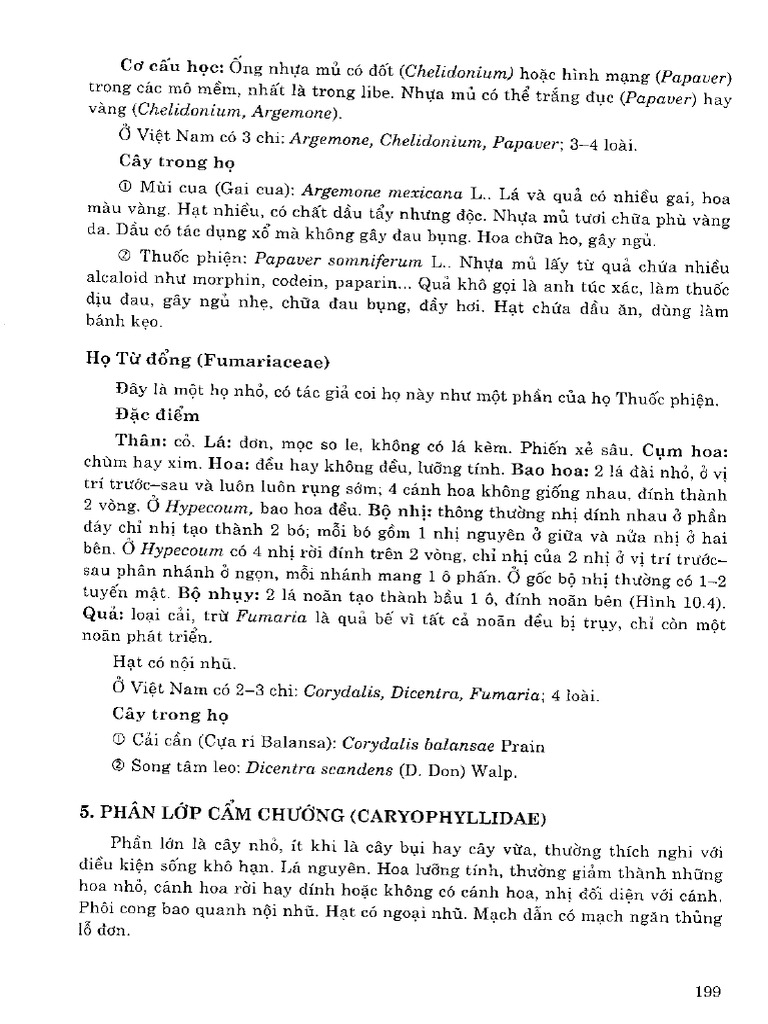Thuc Vat Duoc Split 7 7676 | PDF