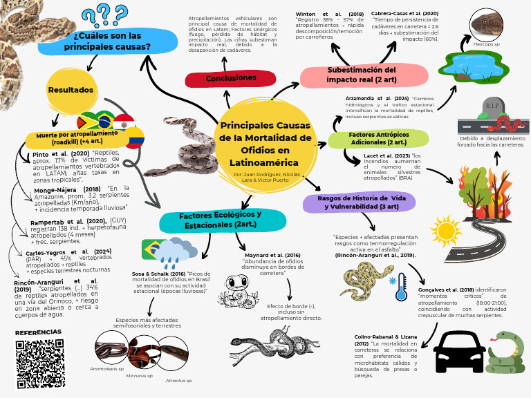 Mapa Mental Sem. Act. | PDF