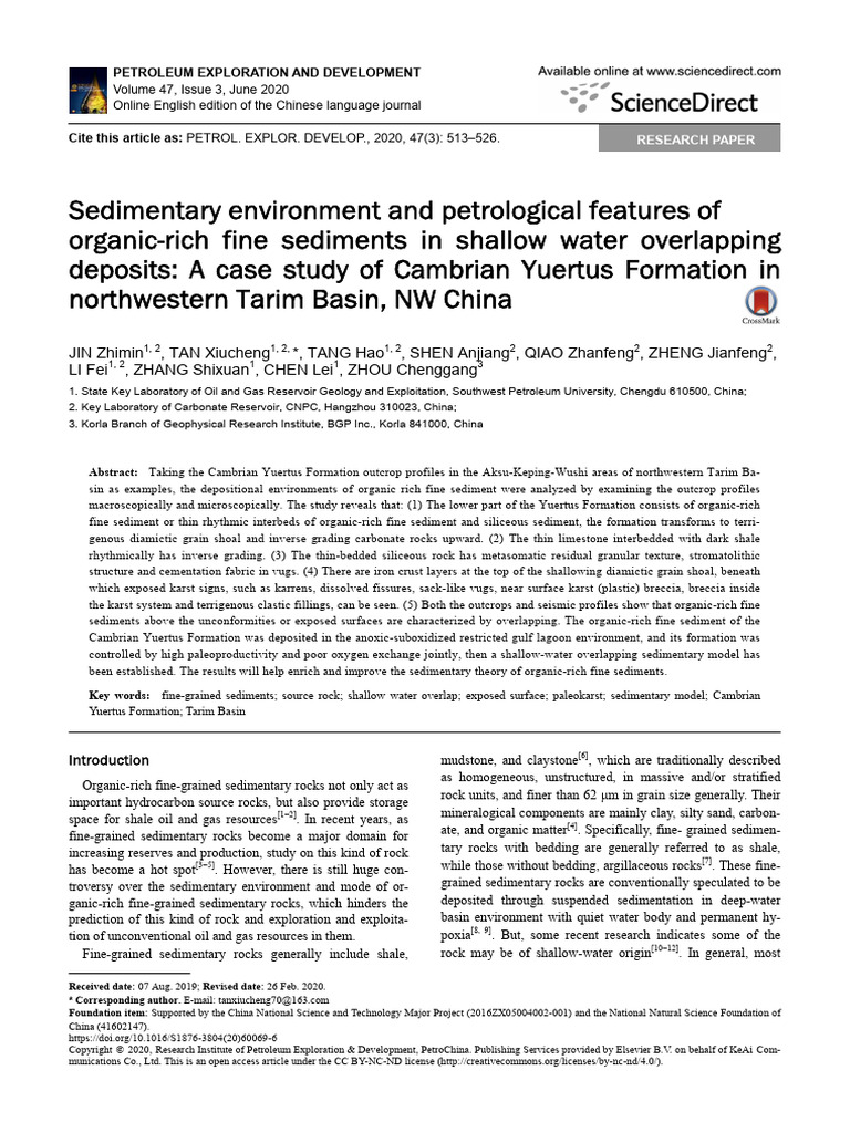 Sedimentary Environment and Petrological Features | PDF | Sedimentary Rock | Shale