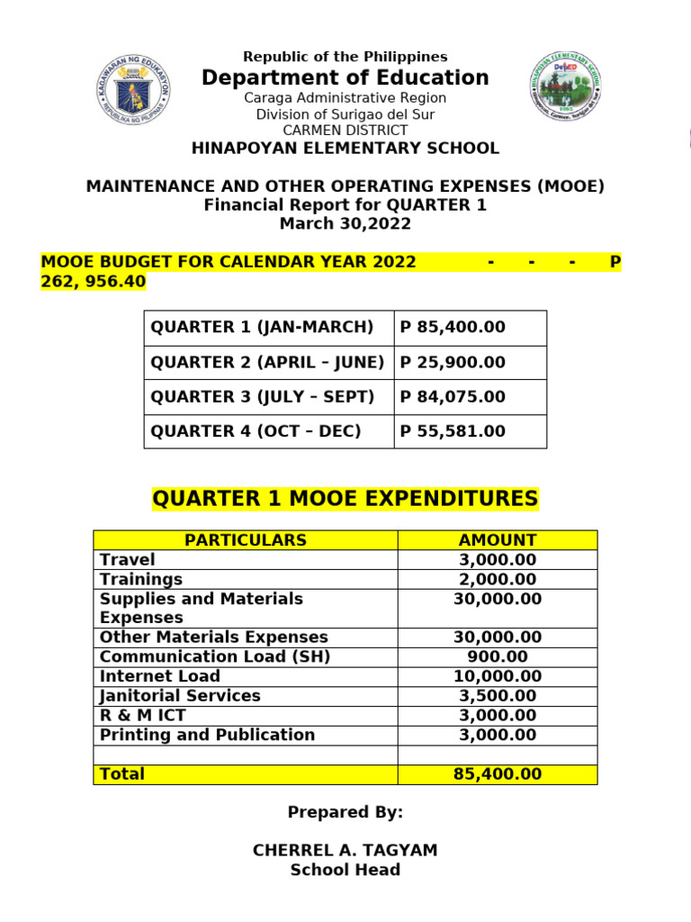 Mooe Financial Report | PDF