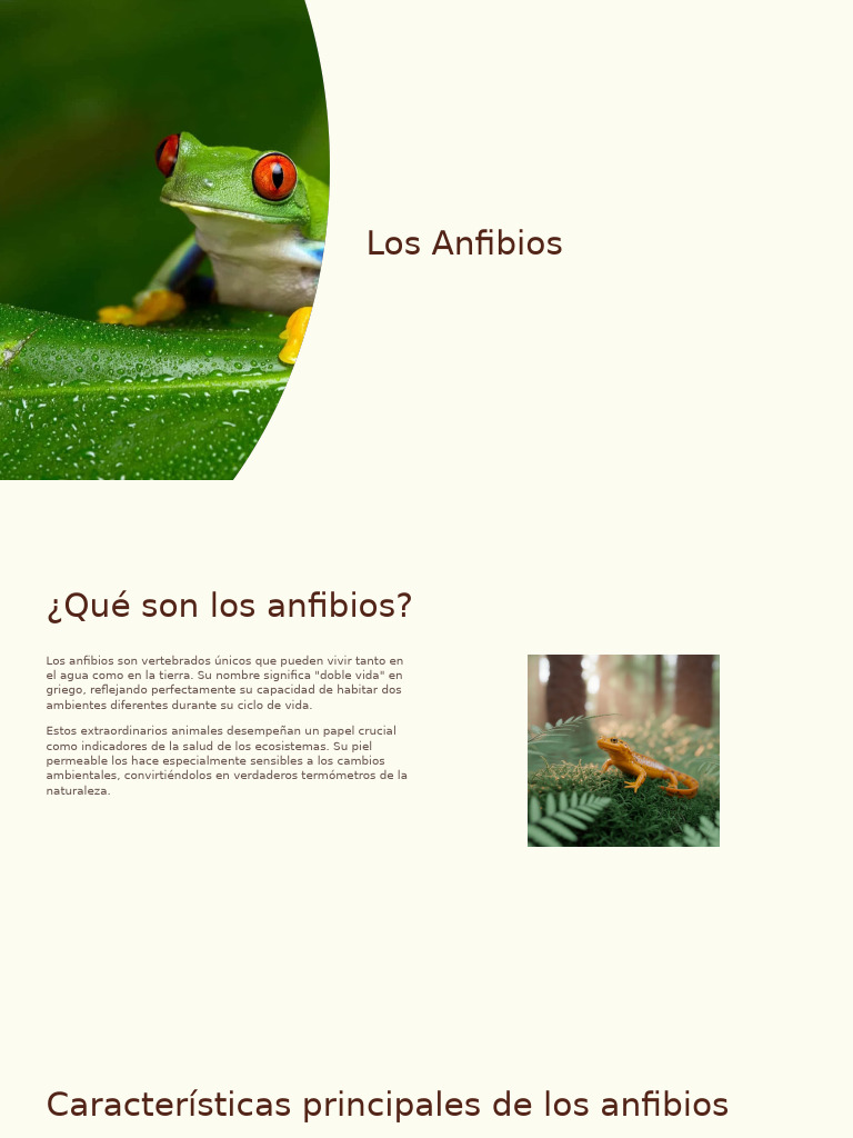 Los Anfibios | PDF | Anfibio | Zoología