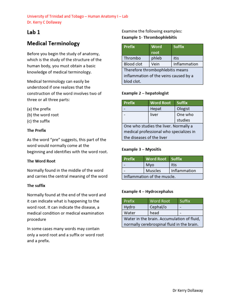 Lab Med Terms | PDF | Anatomy | Medical Specialties
