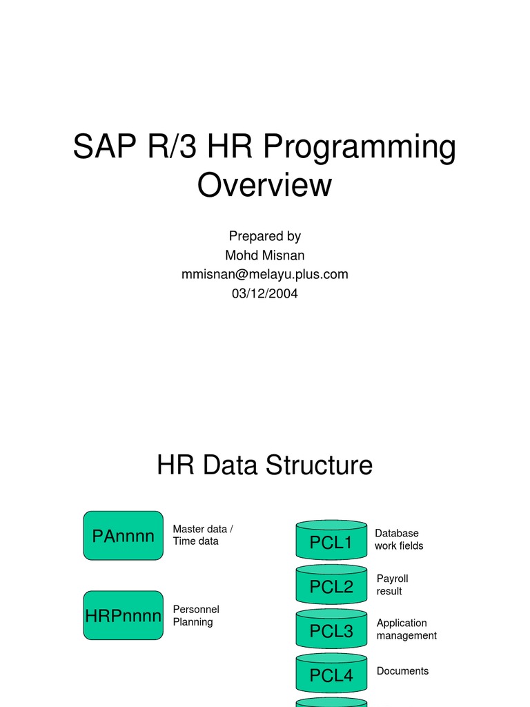 SAP HR Programming | PDF | Databases | Payroll
