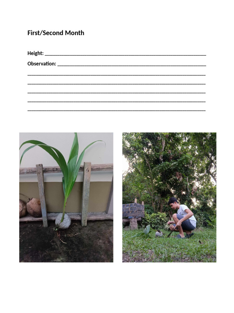 Plant Growth Observation Log | PDF