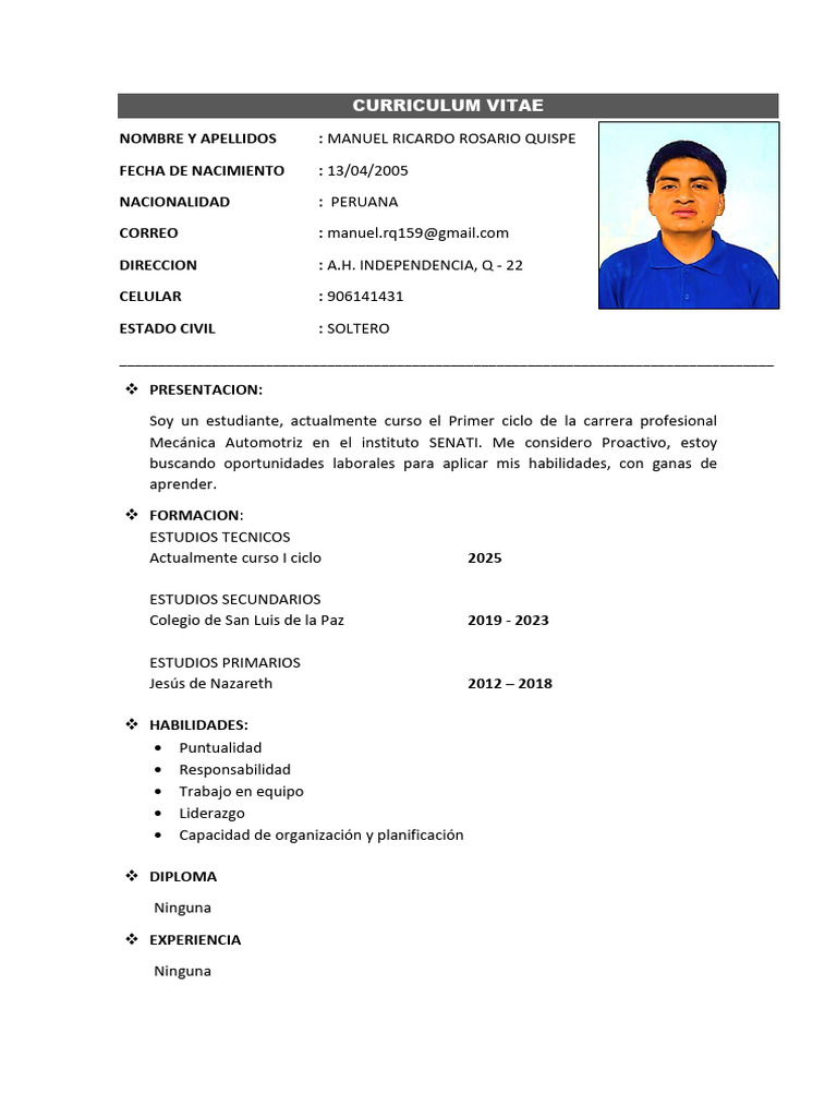 CV - Manuel Ricardo Rosario Quispe | PDF