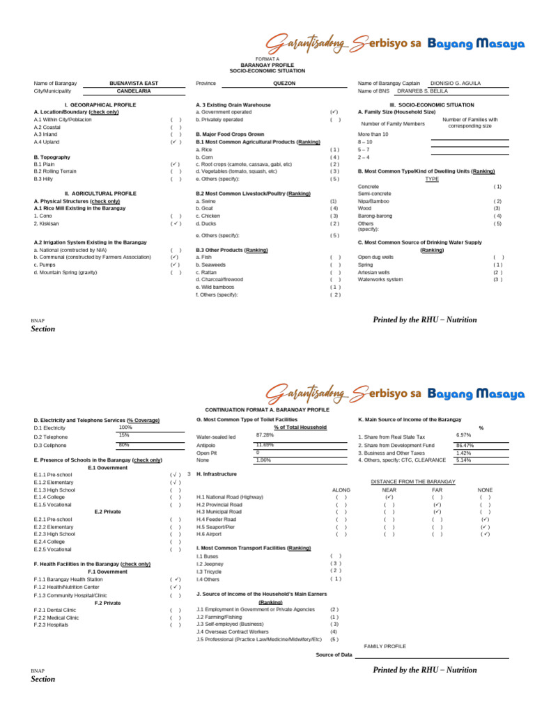 Bnap - 4 - Brgy Profile | PDF | Agriculture | Food Industry