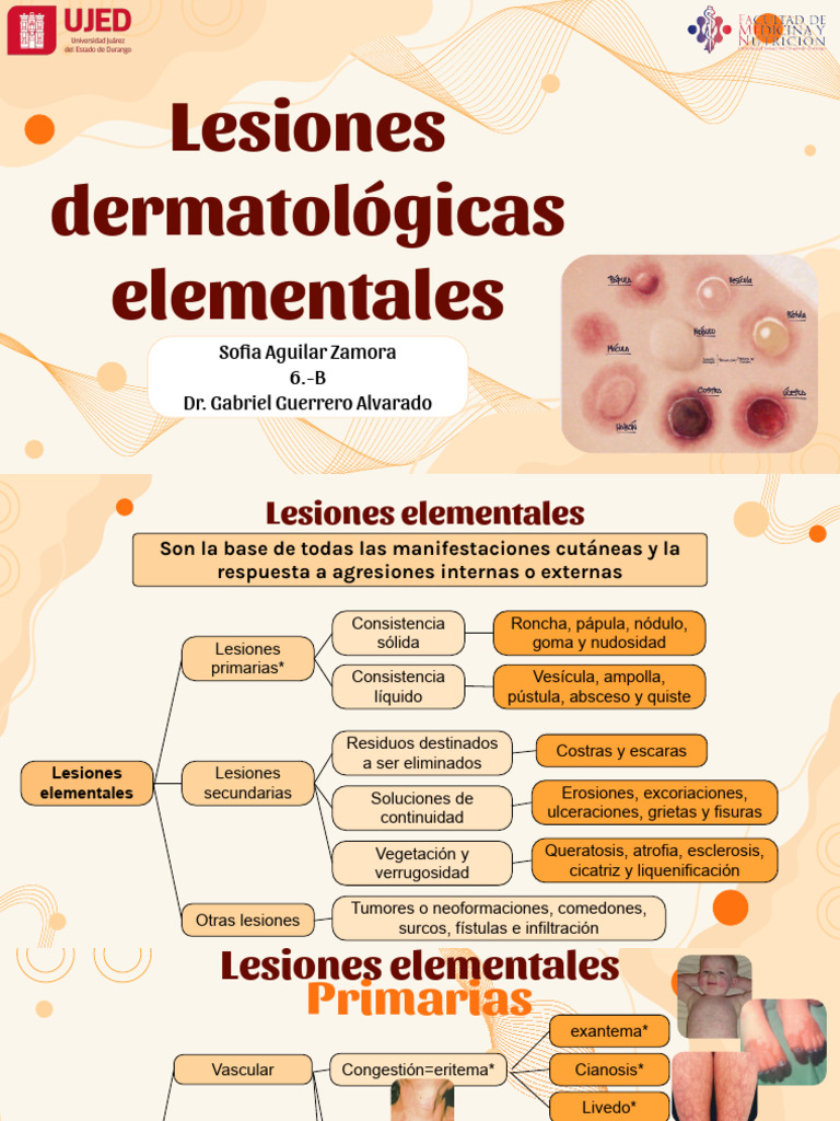 Lesiones Dermatológicas Elementales | PDF | Piel | Epidermis
