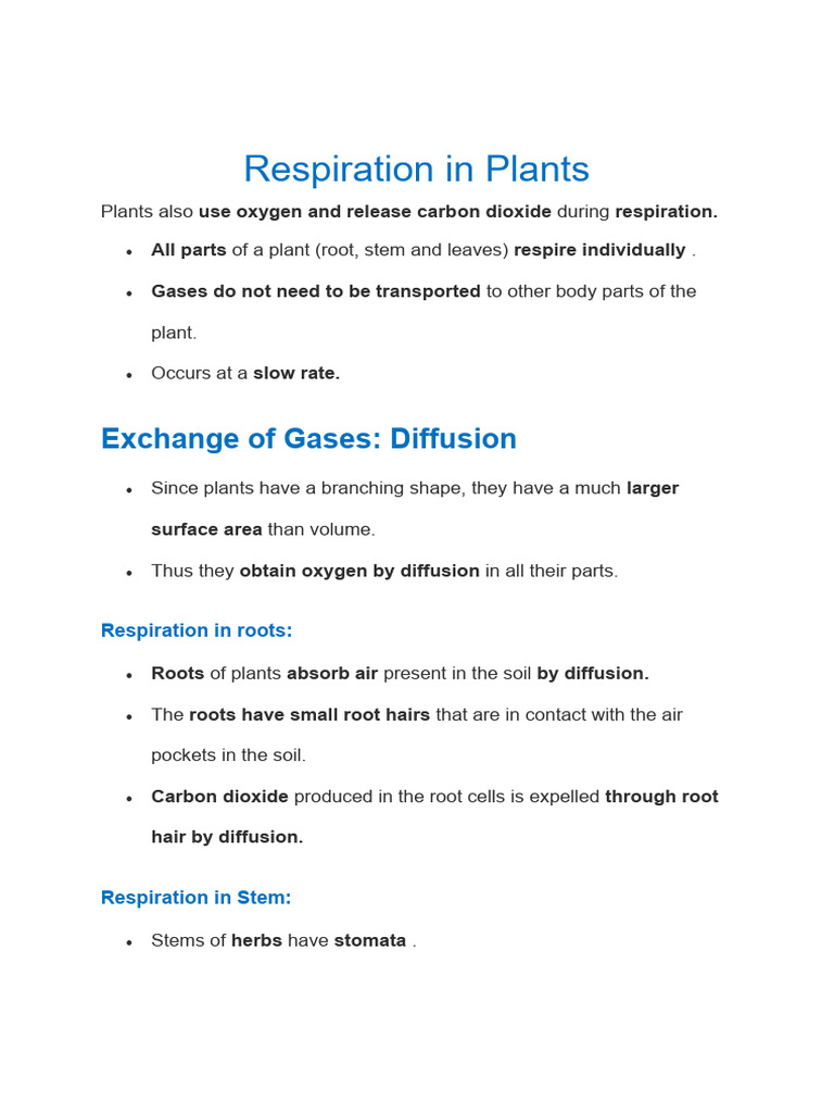 Plant Respiration and Gas Exchange | PDF