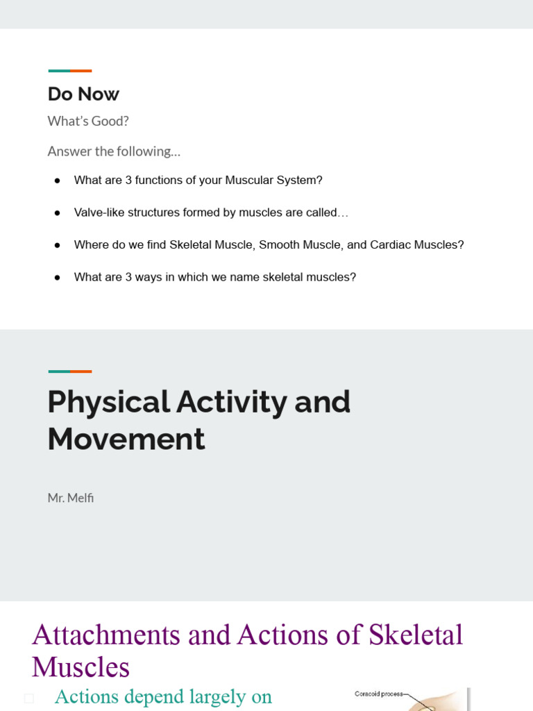 Physical Activity and Movement | PDF | Anatomical Terms Of Motion ...