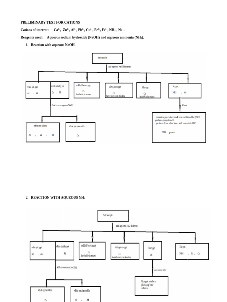 Preliminary Test For Cations 1 1 1 | PDF