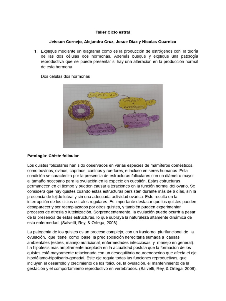 Taller Ciclo Estral | PDF | Hormona luteinizante | Ginecología