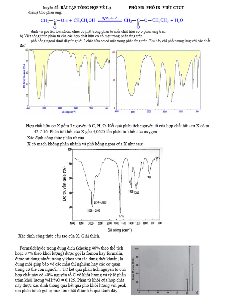 11 HSG Lap CTPT Ms Ir 25-26 | PDF