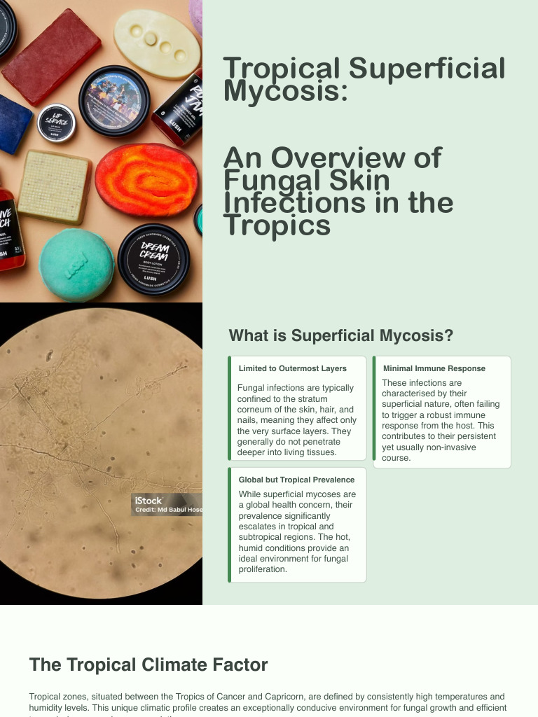 Tropical Superficial Mycosis An Overview of Fungal Skin Infections in ...