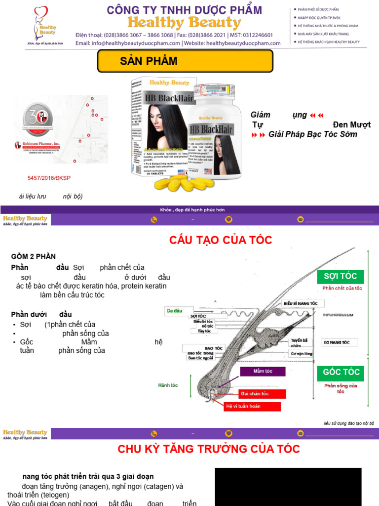 HB Black Hair | PDF