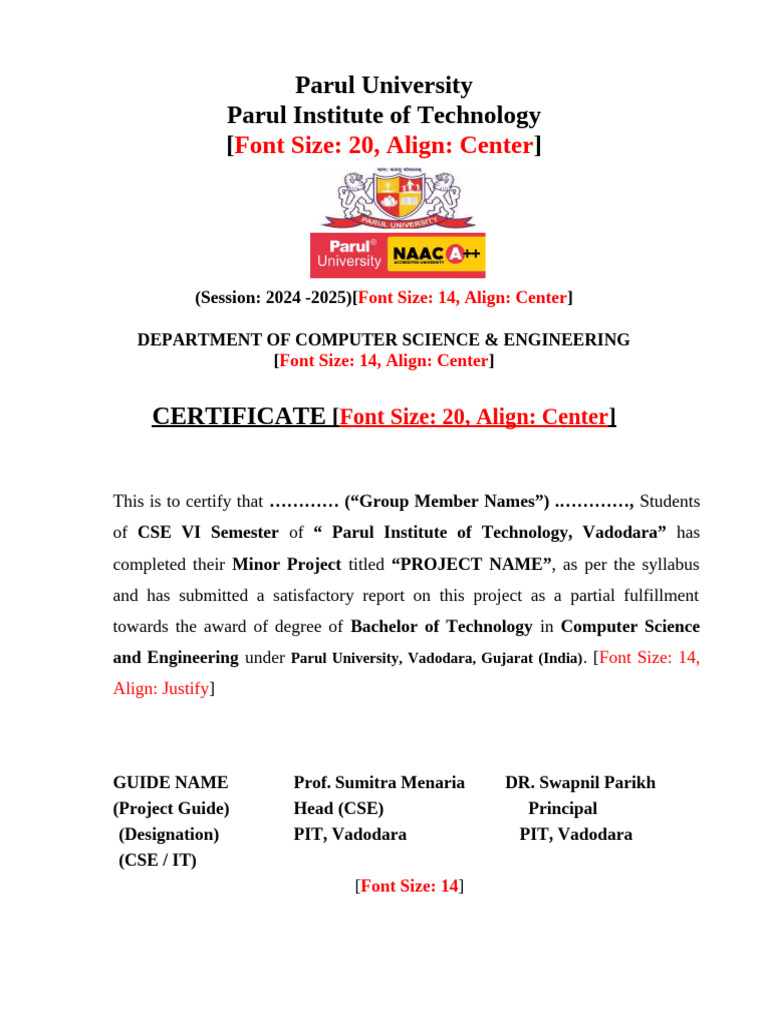 CSE Minor Project Certificate 2024-2025 | PDF